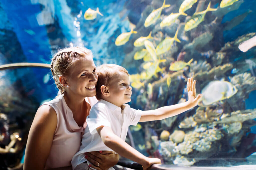 SEA LIFE AT MALL OF AMERICA | Book a Jawsome SEA LIFE Field Trip ...