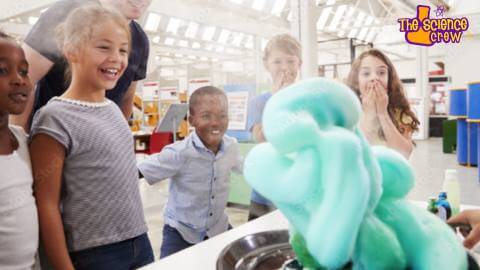 THE SCIENCE CREW | Easiest In-Class Science Field Trip - Field Trip ...